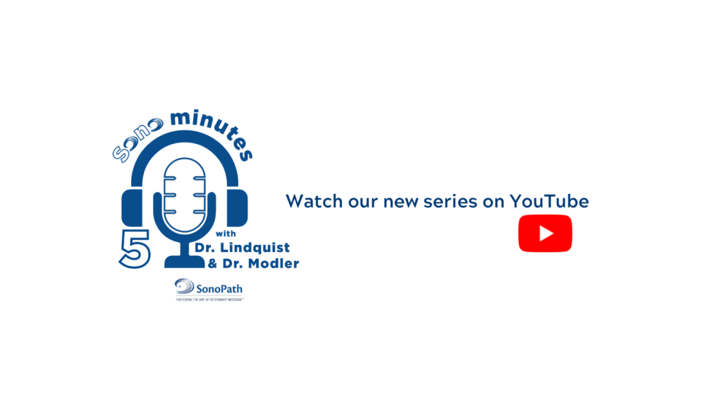 Mobile Ultrasound : Fueled by SonoPath | The Focal Zone, LLC