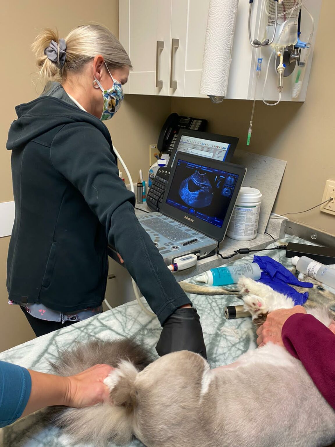 Mobile Ultrasound with The Focal Zone Sonography Services